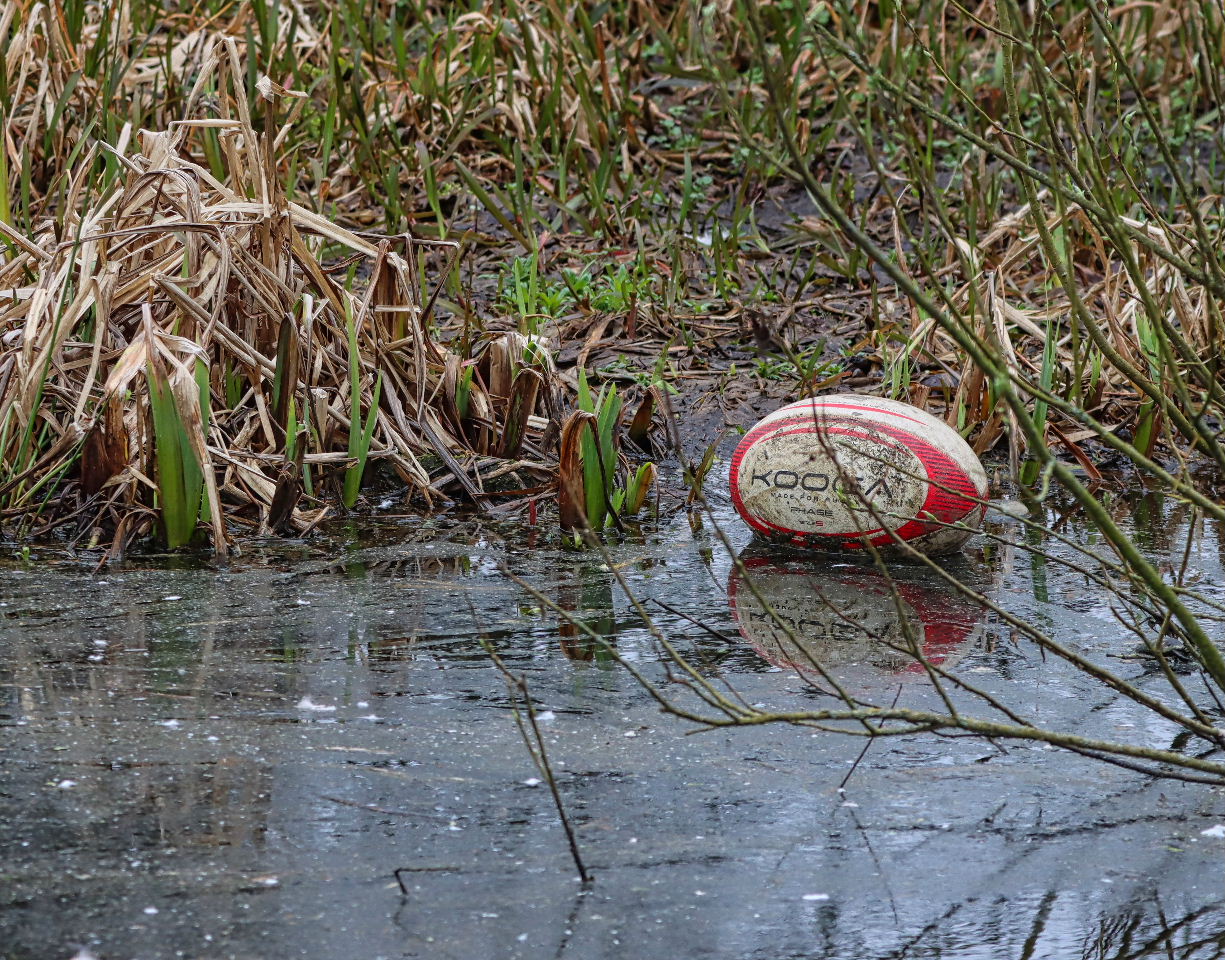 Visiting Daisy Nook Country Park – in the Medlock Valley - rainy city ...